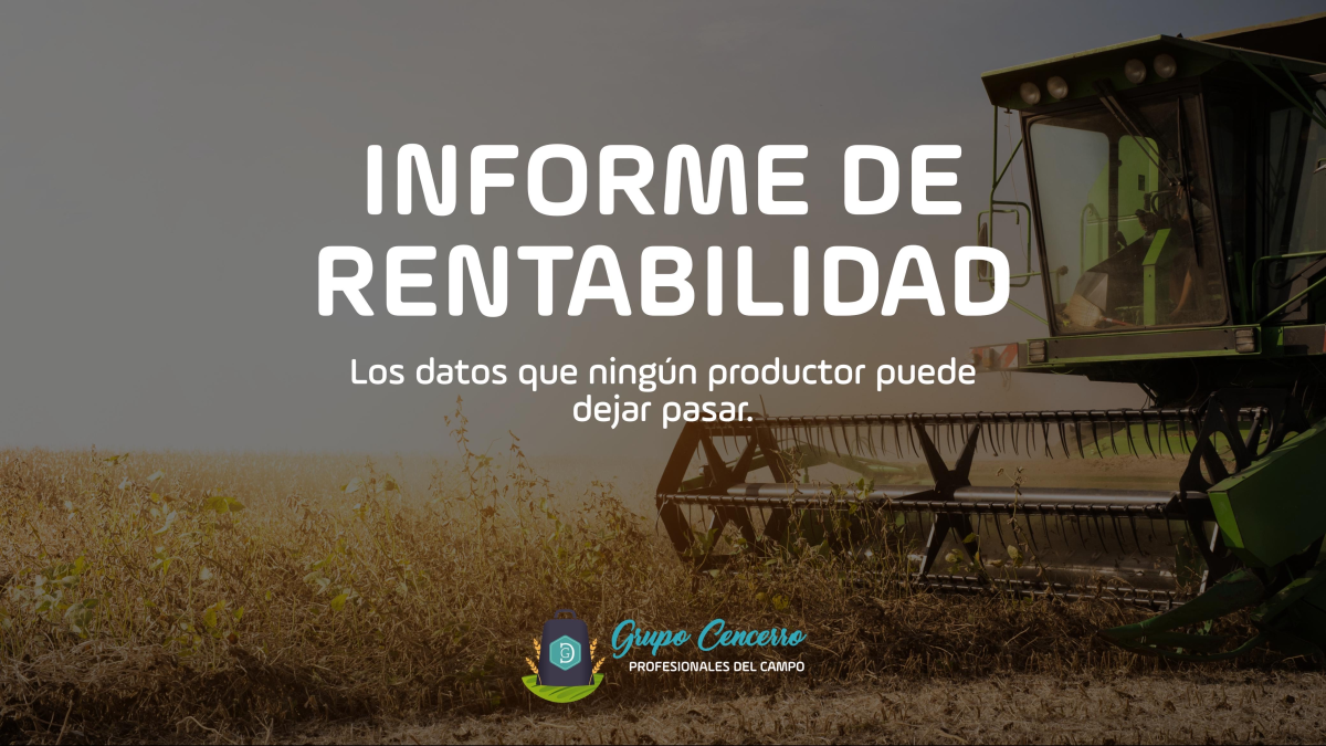Informe de Rentabilidad 2025 Los datos que ningún productor puede dejar ...